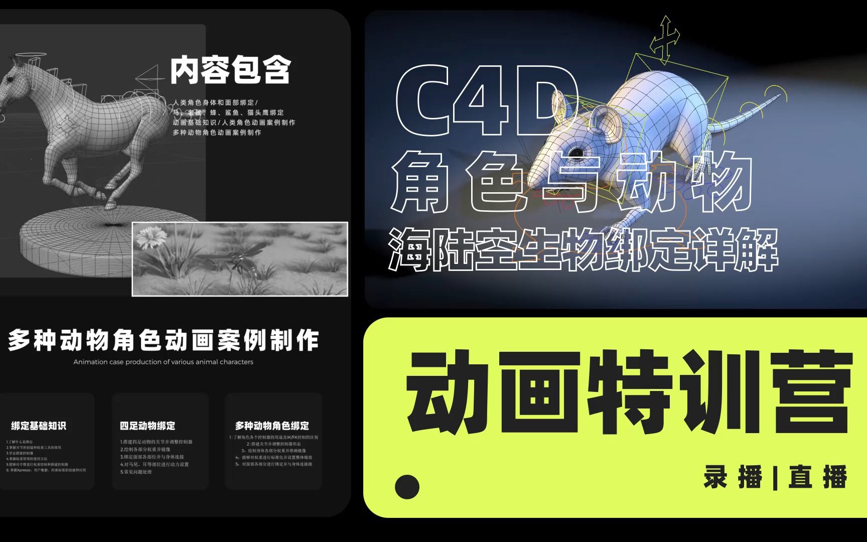 C4D R25 角色与动物-绑定师&手K动画师研习实战特训营
