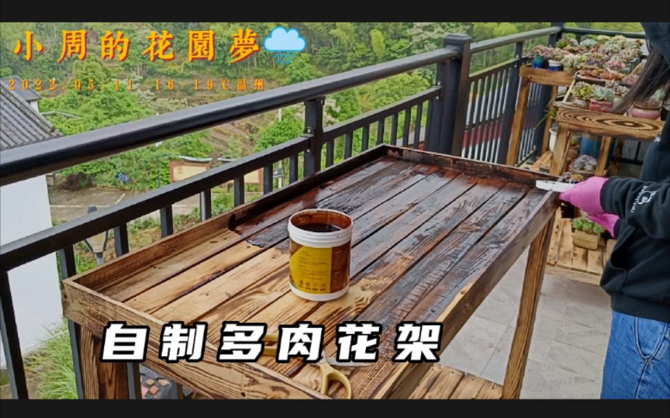 自制多肉花架分享,在家也能做碳化木,自己动手累是累一点,但是能省一笔