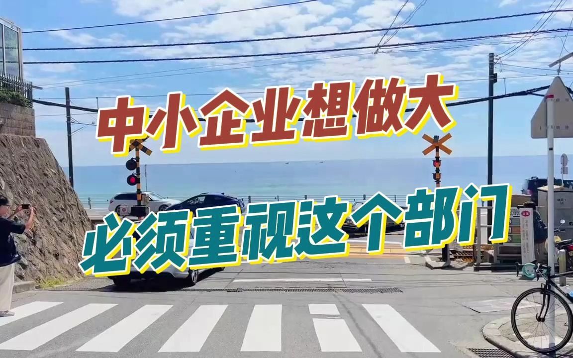 中小企业想做大必须重视这个部门 #企业战略规划与设计#品牌管理...