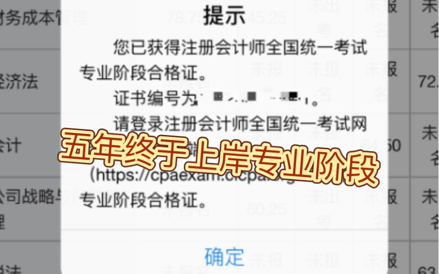 25岁通过税务师27岁中级会计职称,28岁通过 CPA专业阶段,一路走来...