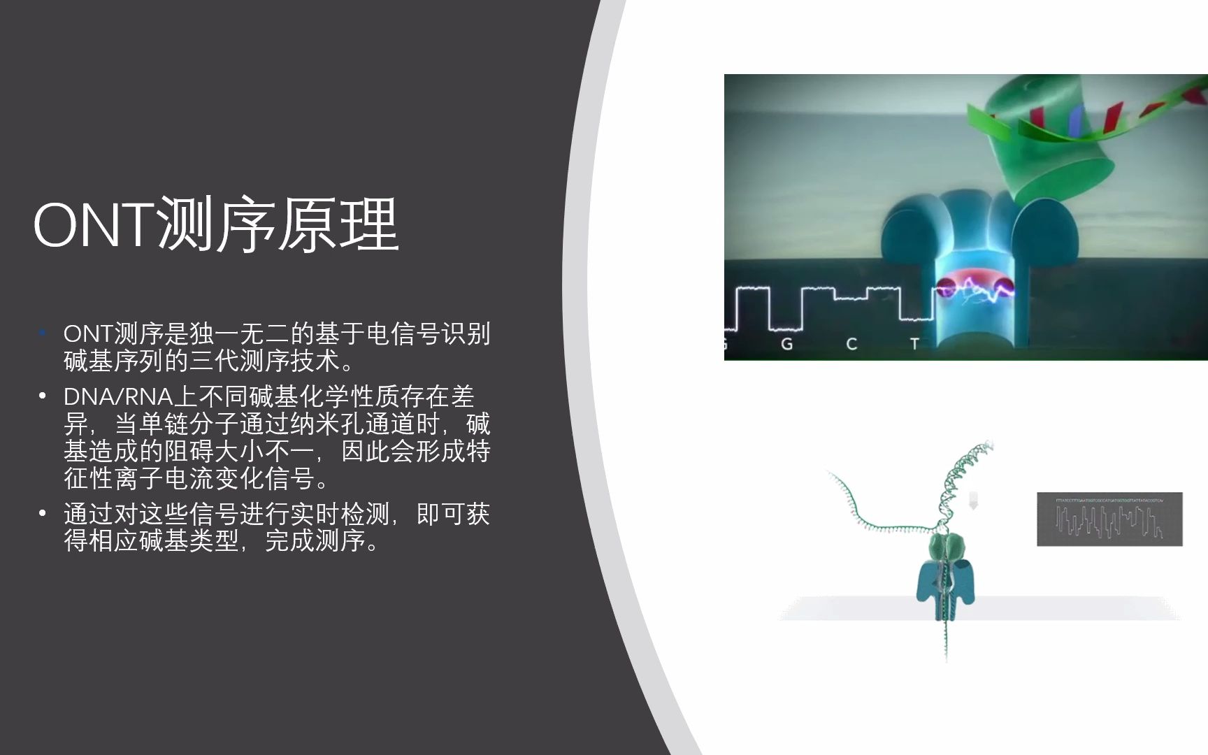 【20220528】【测序平台介绍】【Nanopore(ONT)重测序原理和过程...