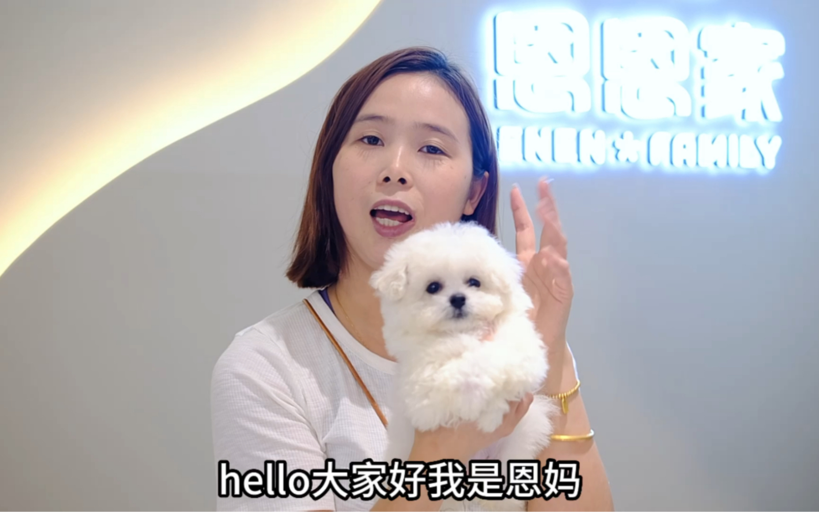 杭州【恩恩家】宠物韩版小体比熊妹妹 结缘义乌三针进口疫苗免费...