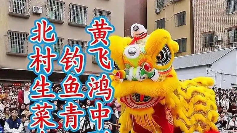 ...市南海黄飞鸿中联电缆武术龙狮协会参加大沥北村生菜会 传统狮表演...