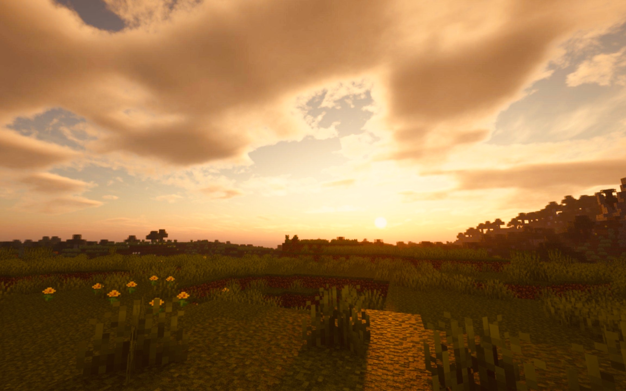 我的世界原版生存1.19服务器【支持全版本游玩】超温馨大家庭!腐竹:...