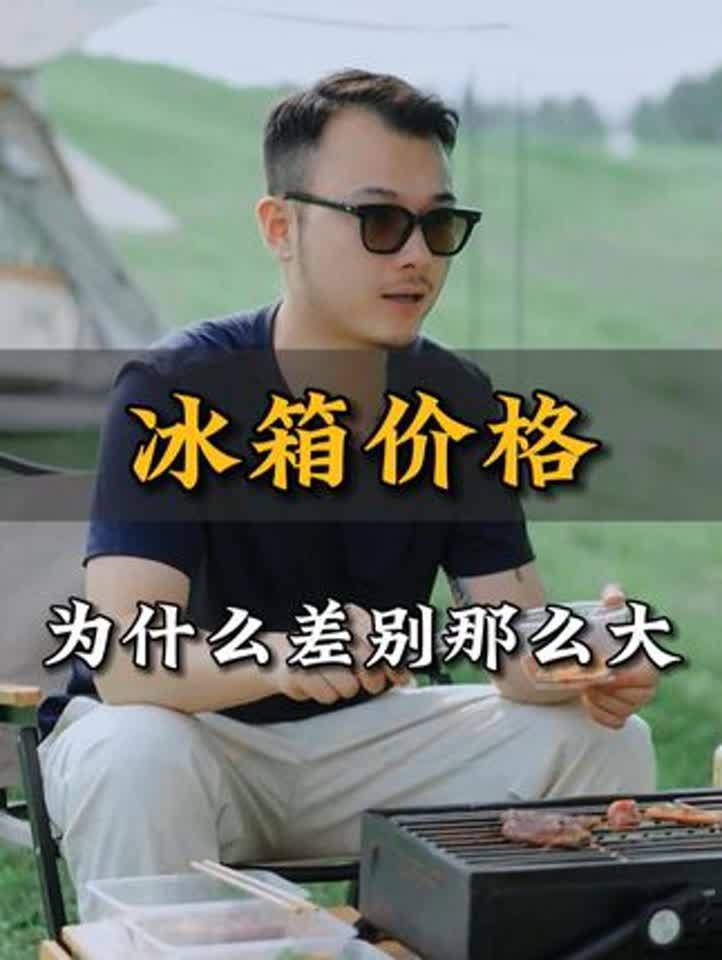 冰箱价格为什么差价那么大? #冰箱 #家电 #装修避坑 #冰箱推荐 #上看...