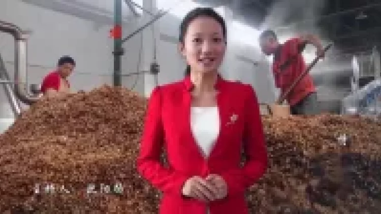 《樟树老窖—特香沉醉》宣传片(终极版)