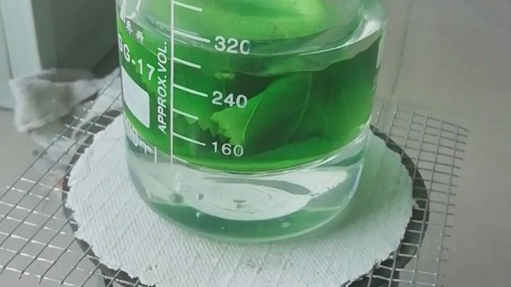 验证植物光合作用产生的储存物质是淀粉