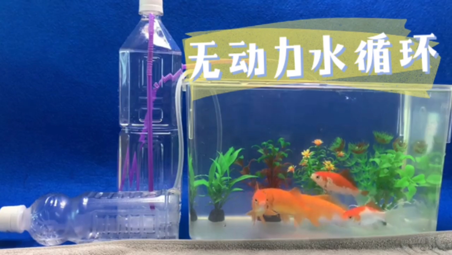 制作一个无动力的循环水系统,永动吗?