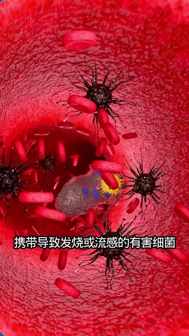 狂犬病会有什么反应?