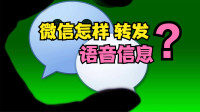 微信怎样转发语音信息?只需开启这个功能,就能轻松实现转发