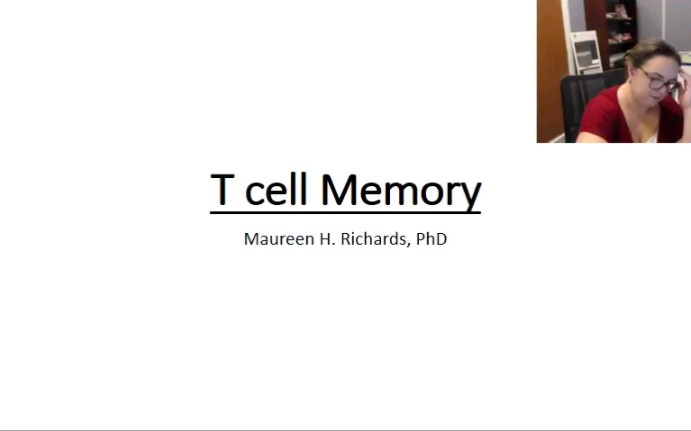 【免疫学】t 细胞记忆(t cell memory)英文无字幕