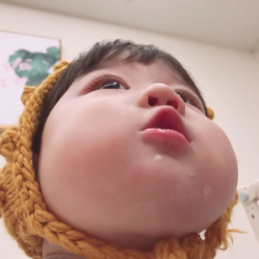 conpconp 