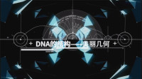 【生物大师 高中重点】DNA的结构——美丽几何