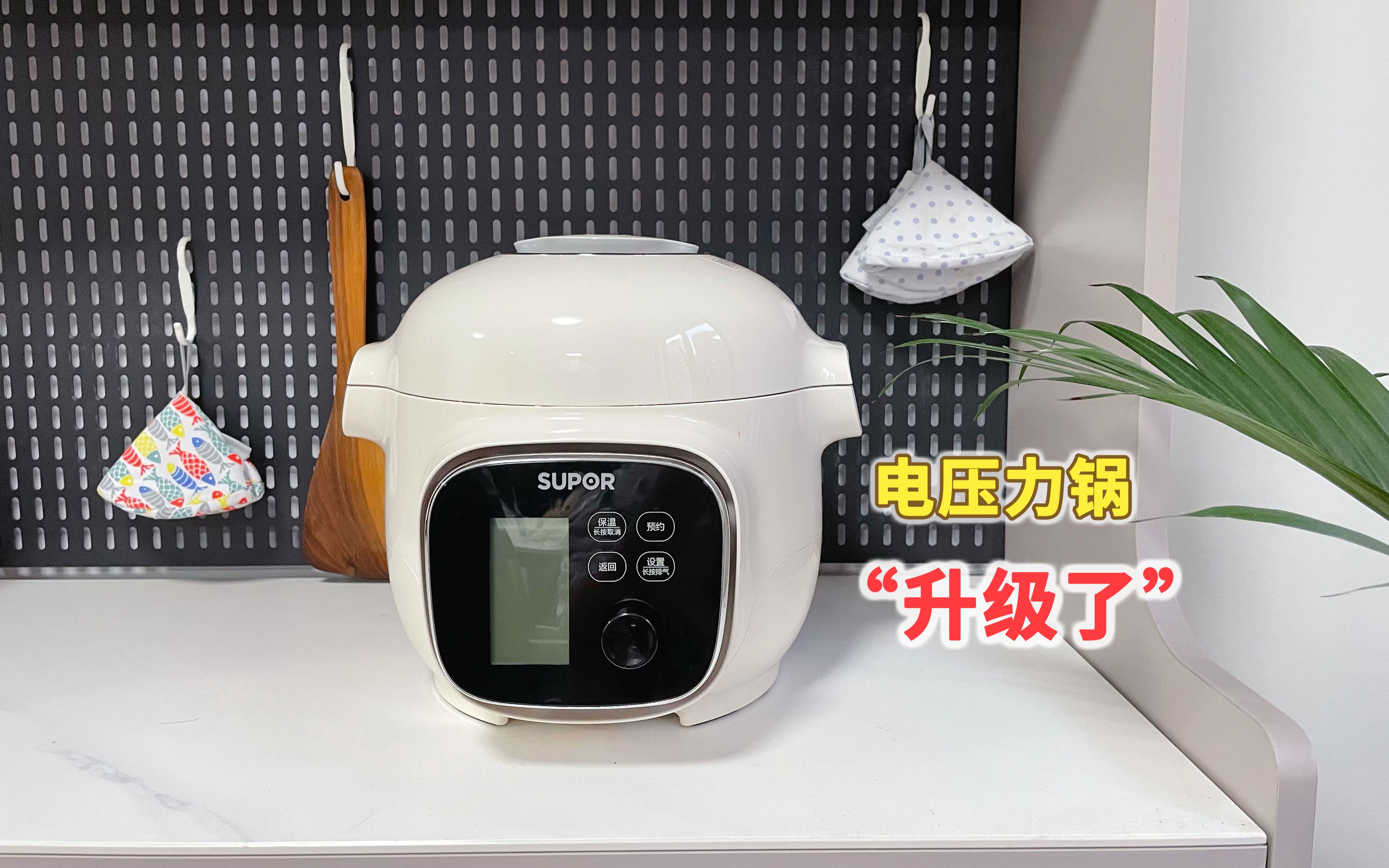 做饭效率提升一半,电压力锅究竟有多好用?|智能电压力锅测评