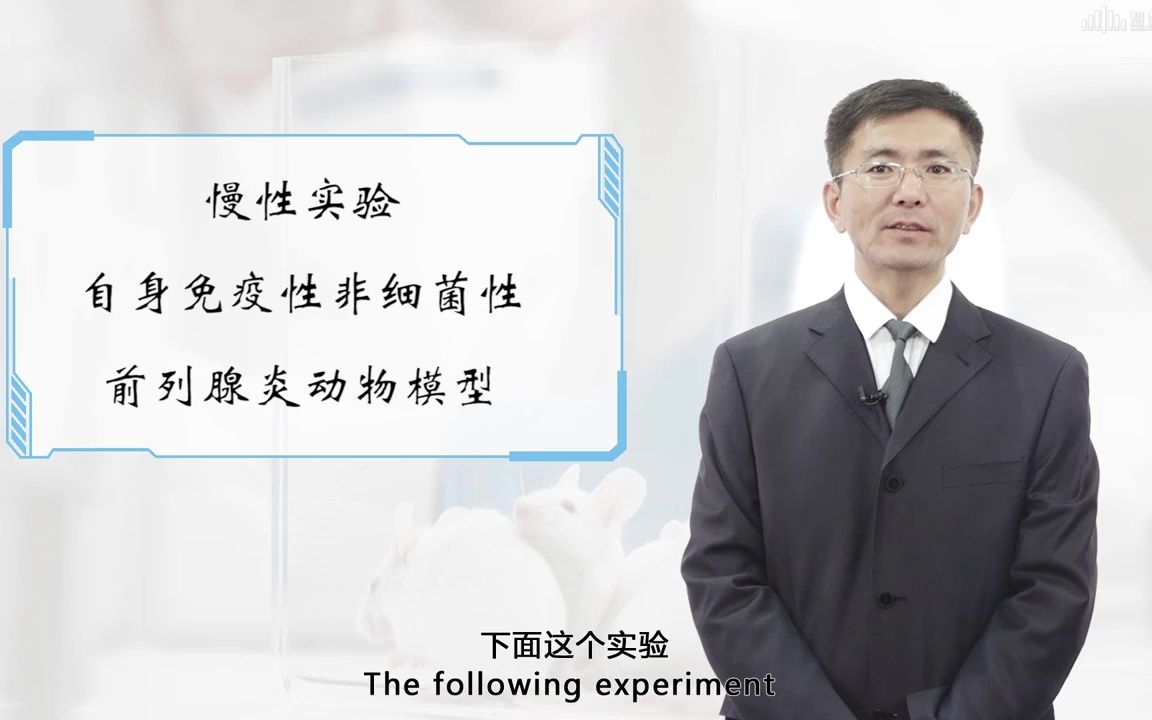 [10.2]--慢性实验-自身免疫性非细菌性前列腺炎动物模型