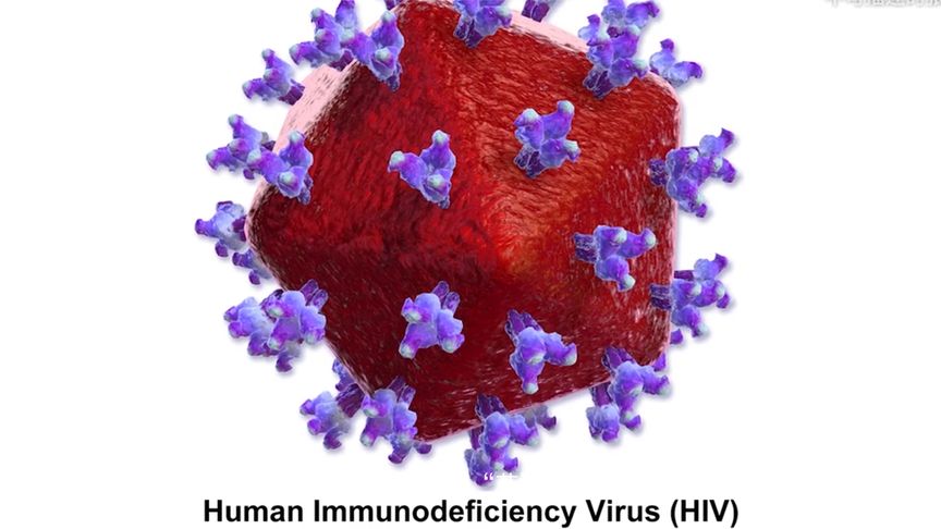 解密全球第二例艾滋病患者自愈- 自体免疫T细胞消灭HIV病毒