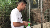 养狗人士必看,最脏的不是厕所而是狗笼,你消毒了吗?