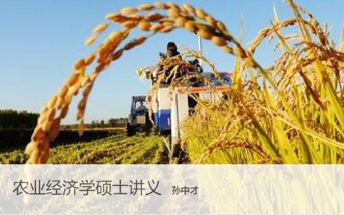 【商务信息管理】农业经济学硕士讲义 主讲-孙中才【全72讲】