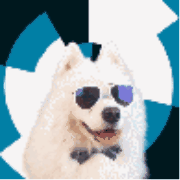 会说话的萨摩耶饱饱 