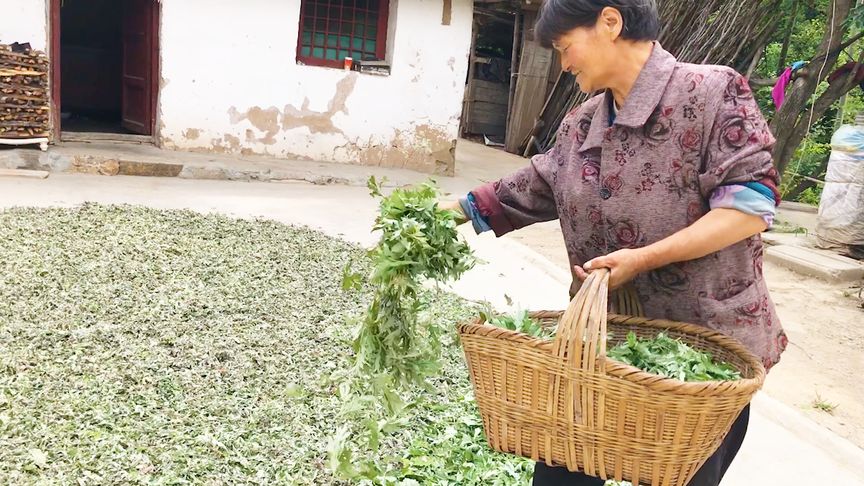 听老奶奶说艾草的功效,原来这么多的老毛病都可以用艾草解决