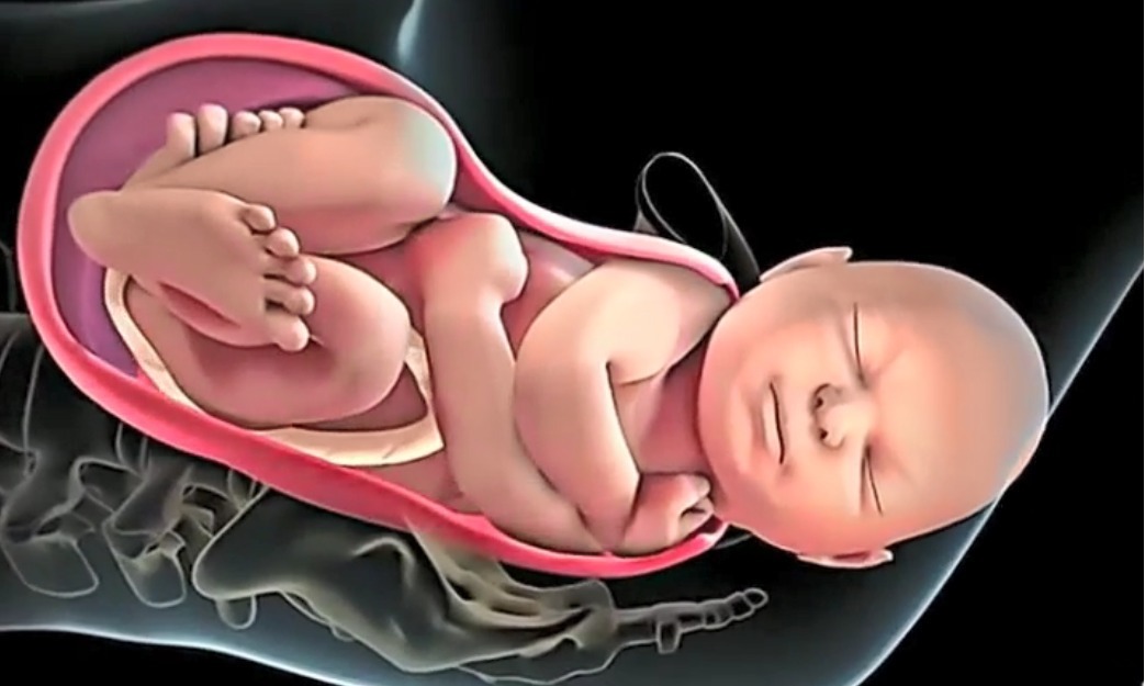 女性生娃到底多痛苦?3D动画演示全过程,简直让人.