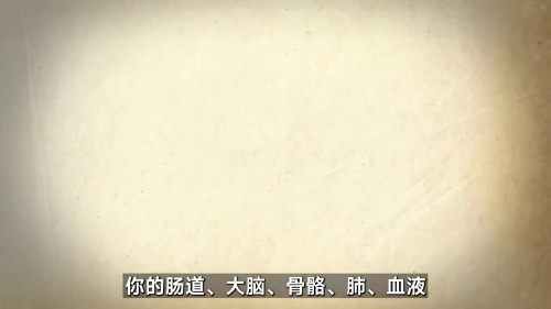 原来呼吸系统只为服务氧气提取而存在!由TE动画提供