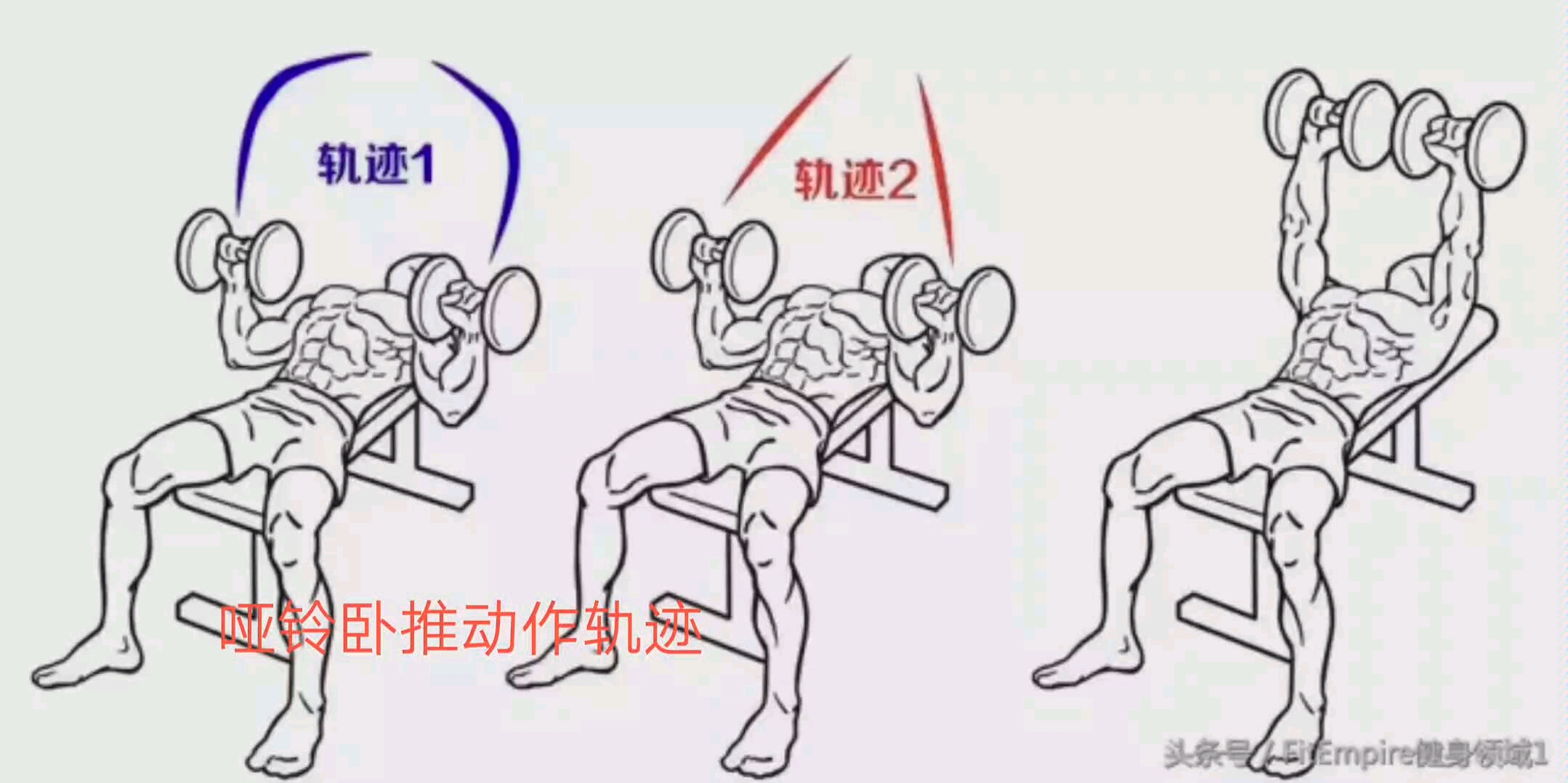 哑铃卧推动作轨迹示范