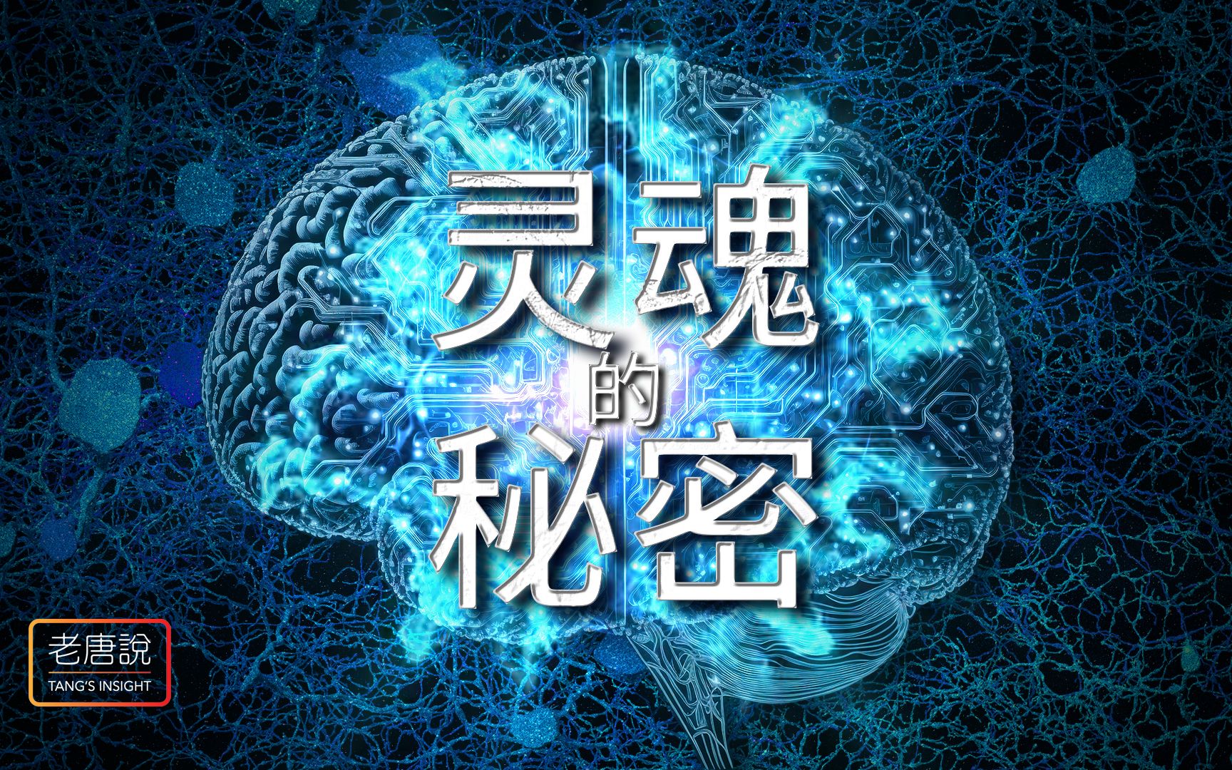 ...全世界最前沿的科学家们如何解释宇宙中最复杂的存在,灵魂出窍和...