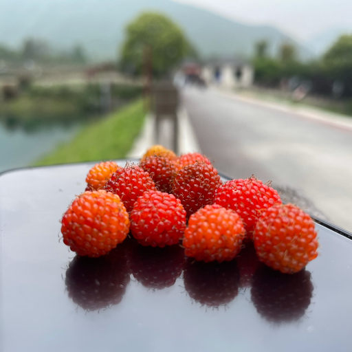 晴天16265 