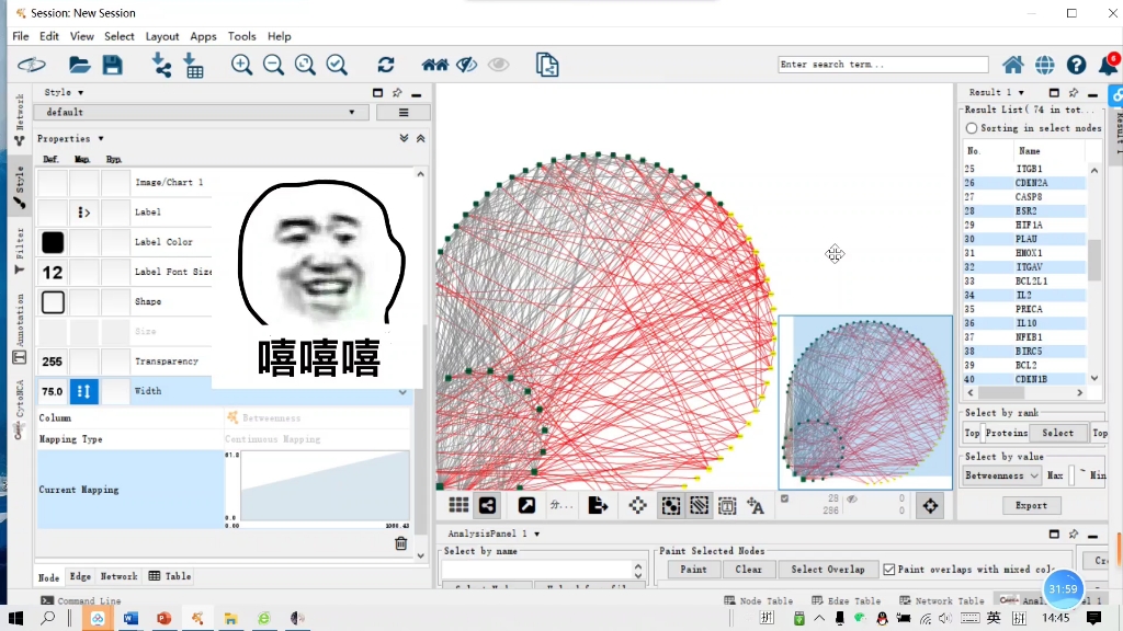 cytoscape 画图