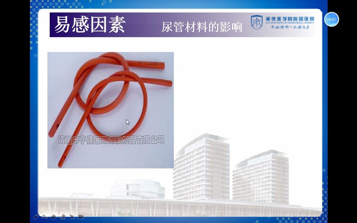 导尿管相关性泌尿系感染的预防与控制——蒋苗苗