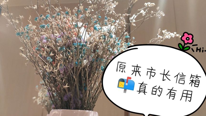 你给“市长信箱ߓ�”写过信吗?原来这个ߓ�真的有用,解答来啦