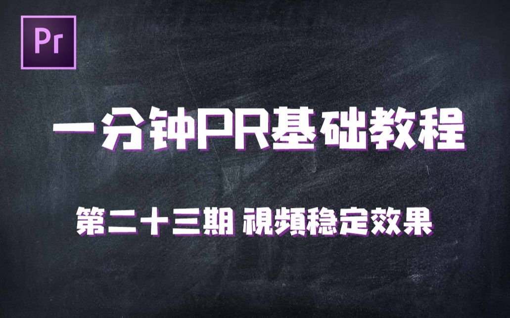 【PR新手教程】小姐姐带你学PR | 23-视频稳定效果