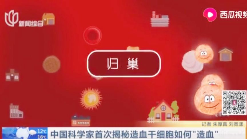 中国科学家首次揭秘造血干细胞如何“造血”