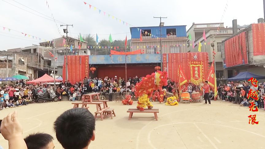 广西农村小伙子组成的舞狮队精彩表演,看得大家都拍手叫好