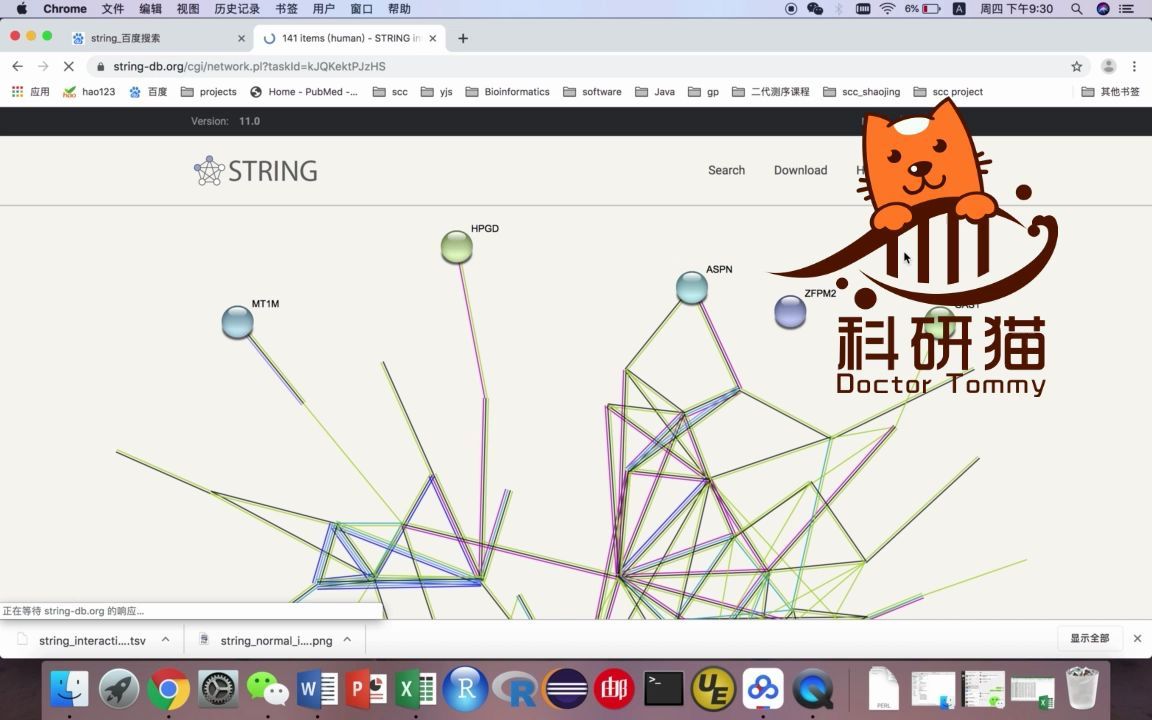 如何从一堆基因构建一个蛋白互作网络