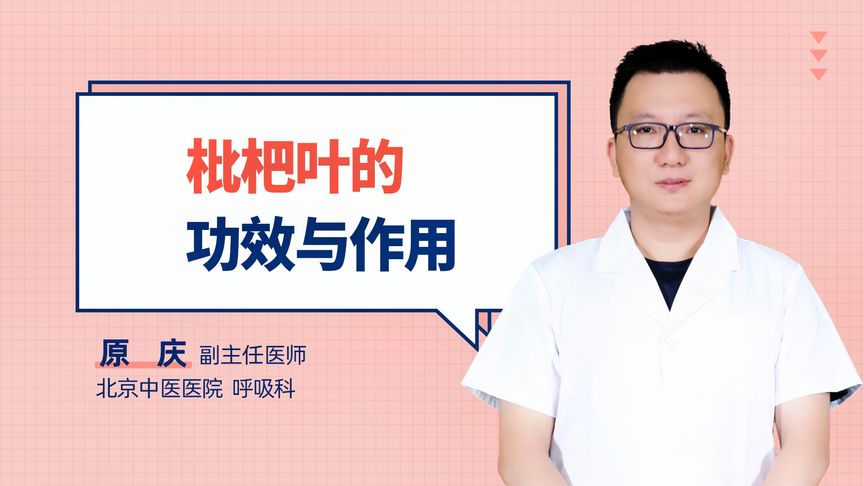 枇杷叶的功效与作用