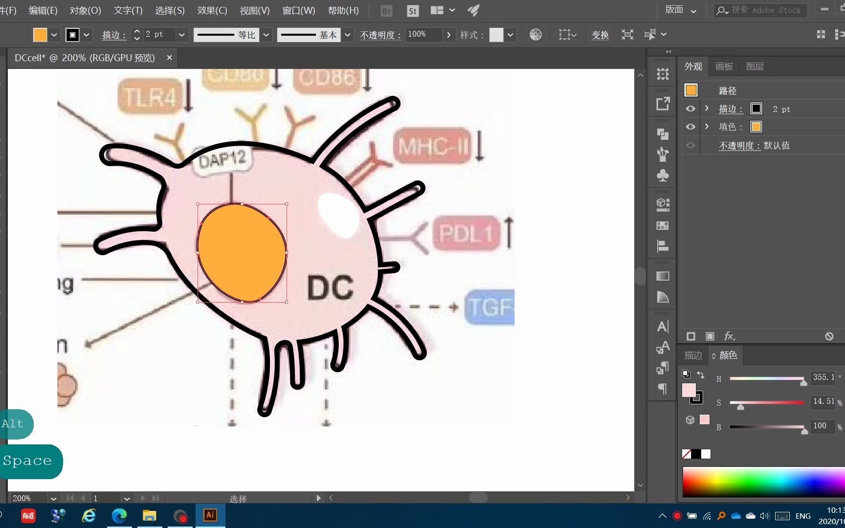 科研绘图_SCI示意图制作之_DC细胞团块示意图绘制