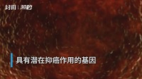 30秒丨科普: 抑癌基因具有潜在抑癌作用