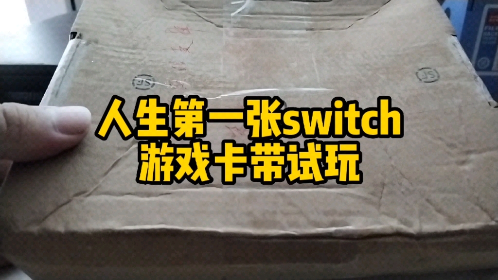 人生第一张switch卡带试玩