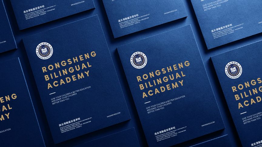 #学校vi设计 #品牌设计 #标志设计 #logo设计 双语学校VIS设计
