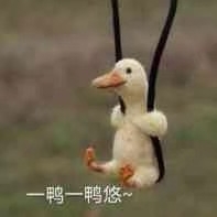 鬼鬼的小许 