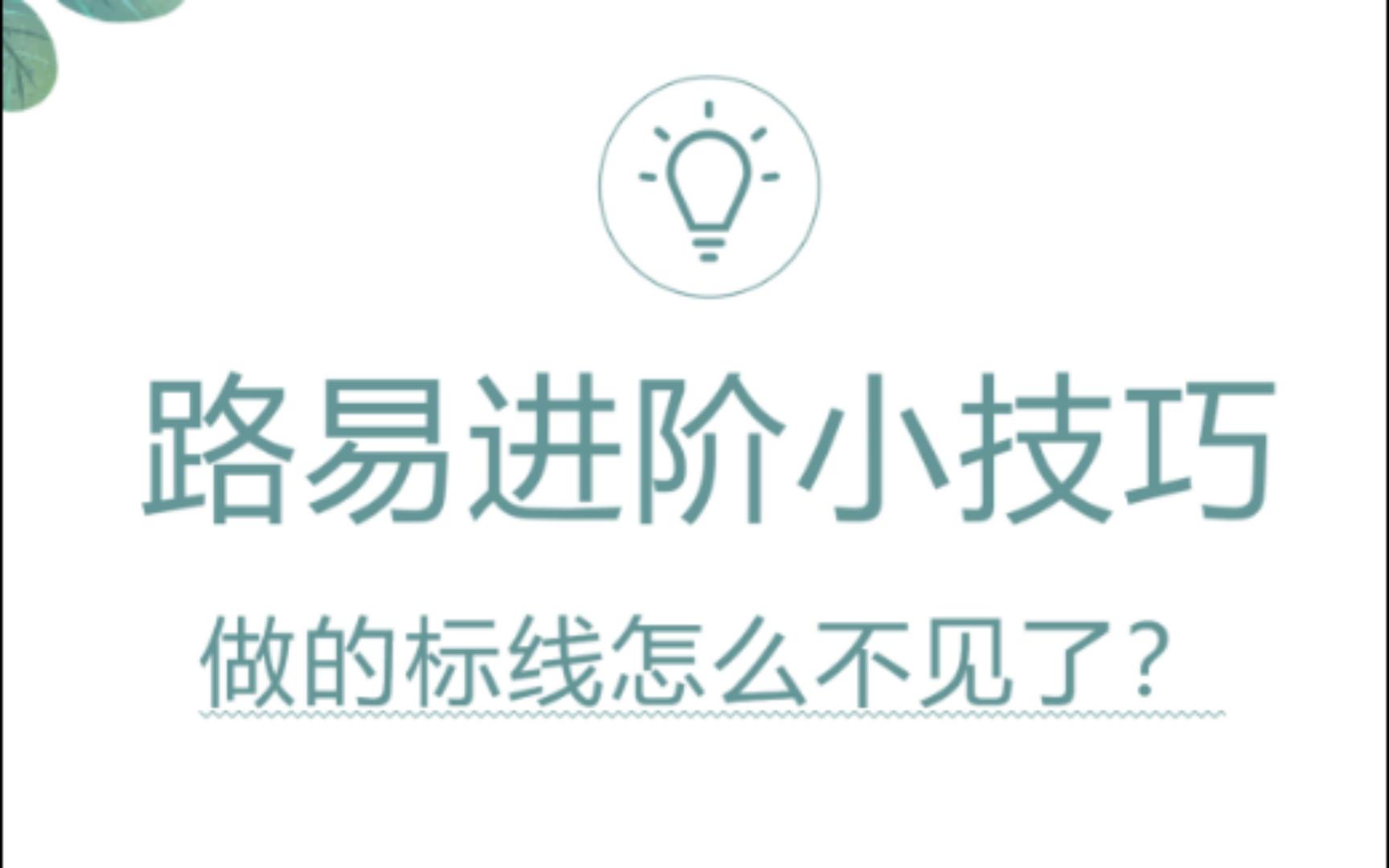 路易进阶小技巧-做的标线怎么不见了