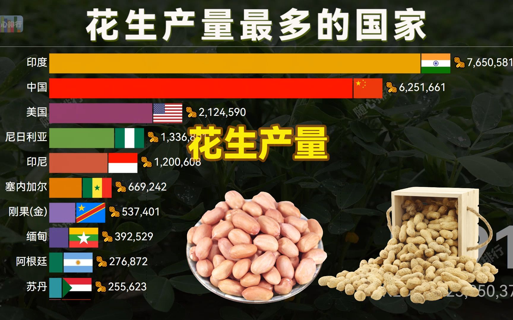 花生产量最多的国家 中国超越印度 世界各国花生产量排行榜