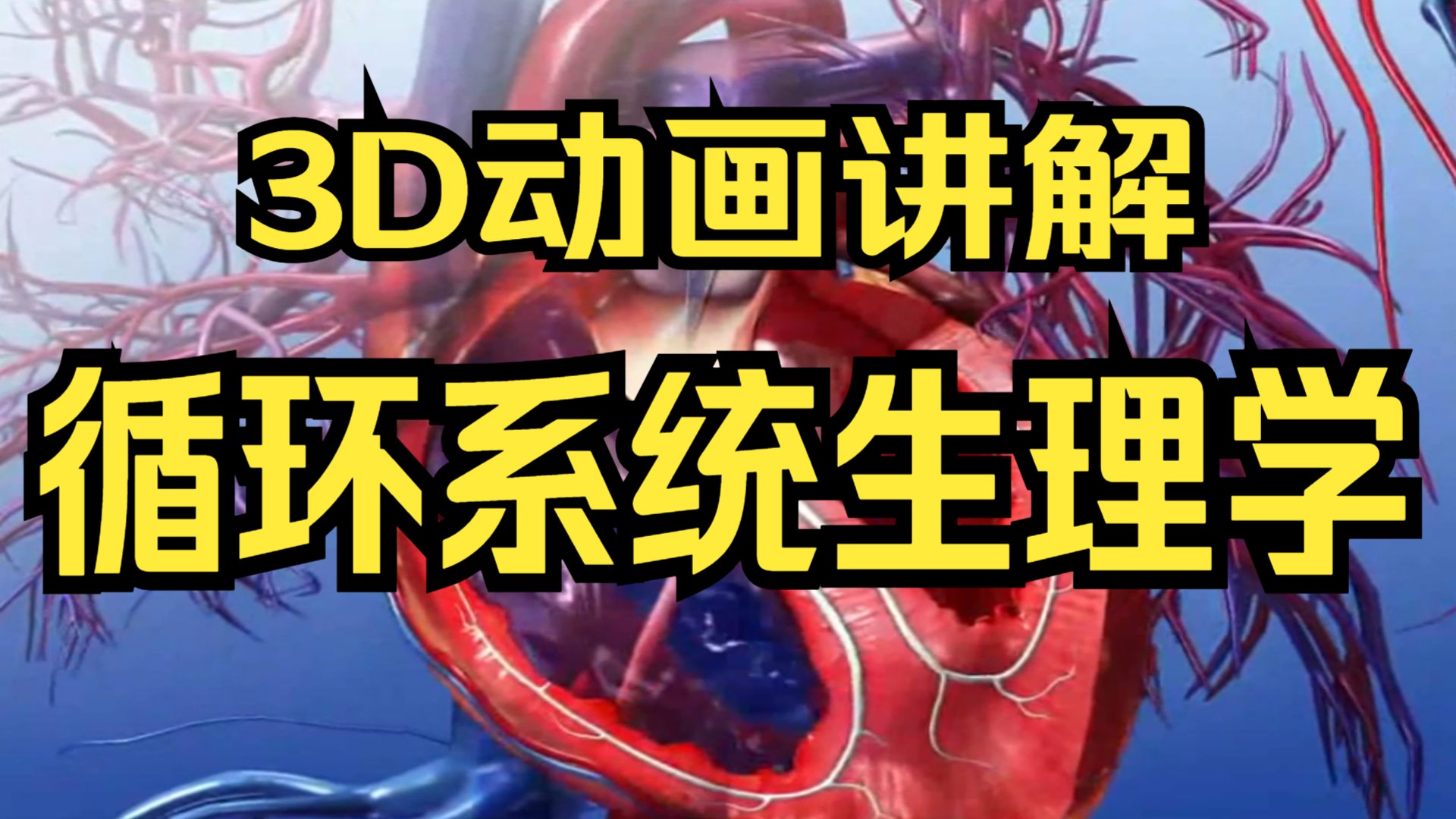 1.循环系统课程讲解-3D动画演示循环系统解剖生理学-心脏血液循环过程