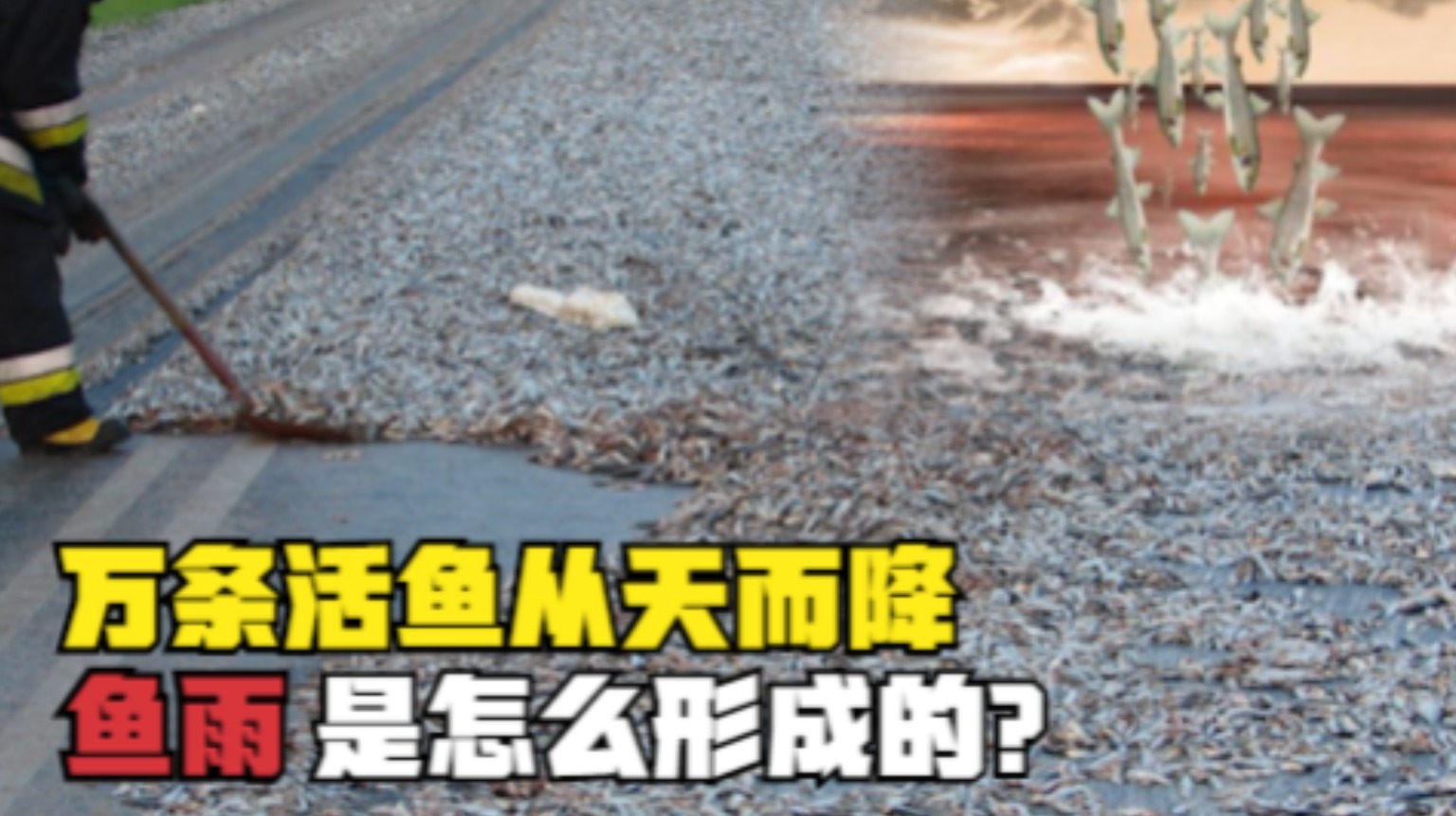 天上真会"掉馅饼"?万条活鱼从天而降,鱼雨是怎么形成的?