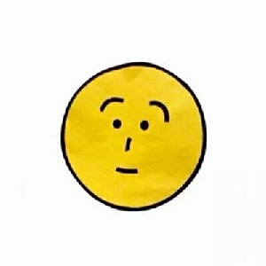 夸而不张 