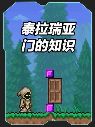 泰拉瑞亚 门 的知识