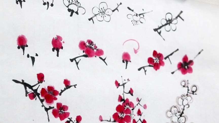 中国画:零基础画梅花,以及几种常用画法的总结