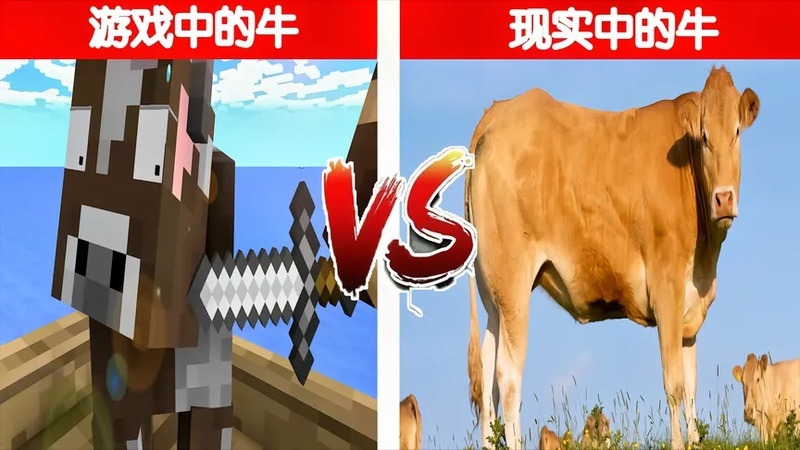 我的世界 现实VS游戏03:一只大肥牛,肉很好吃
